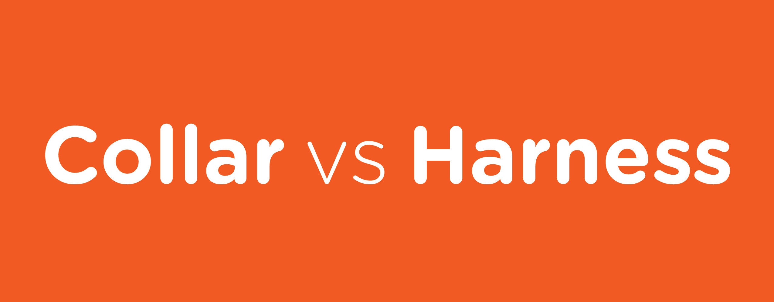 Collar versus Harness: Which one is better for your dog? – Woof Concept HK