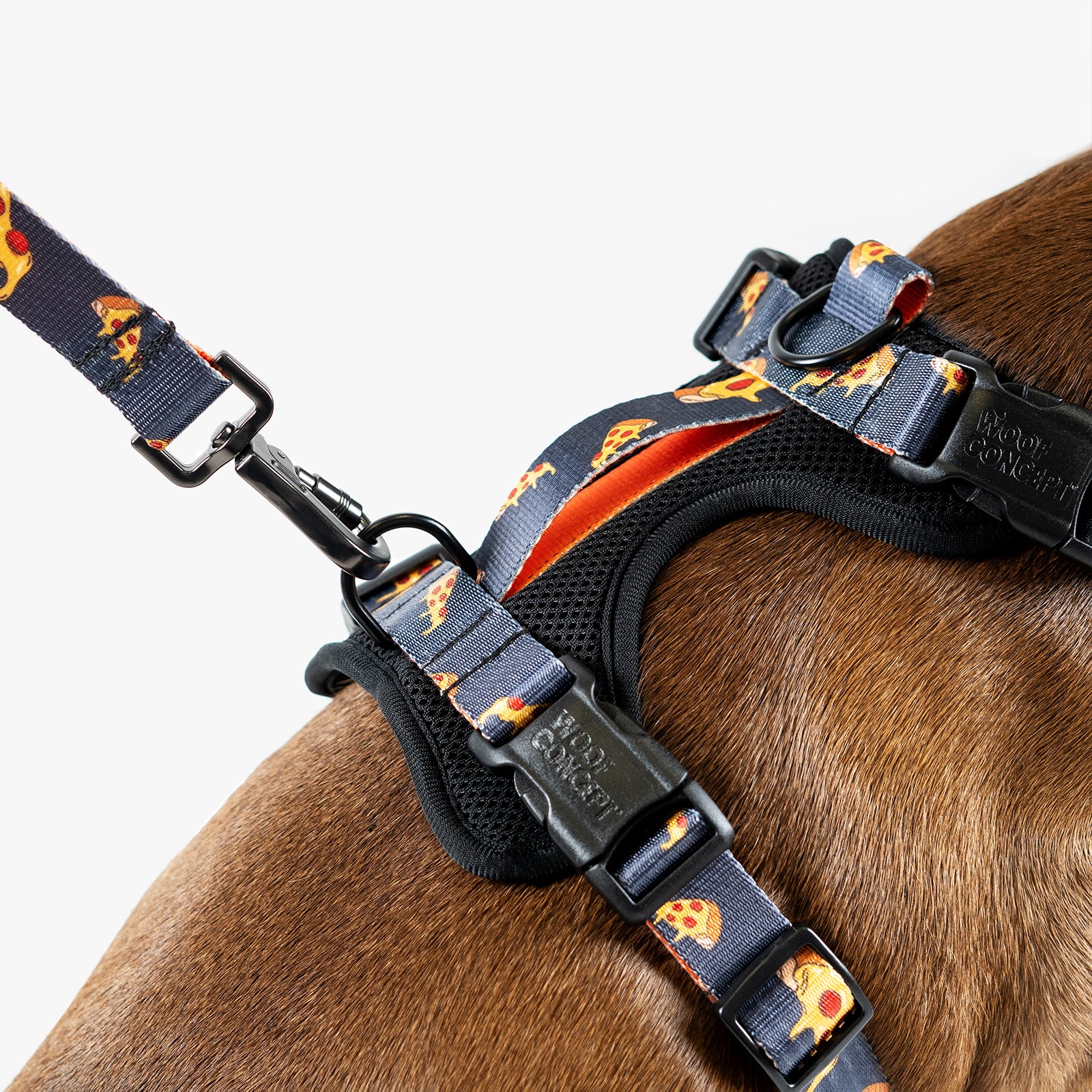 BROOKLYN - Dog MAX CONTROL HARNESS – Woof Concept HK