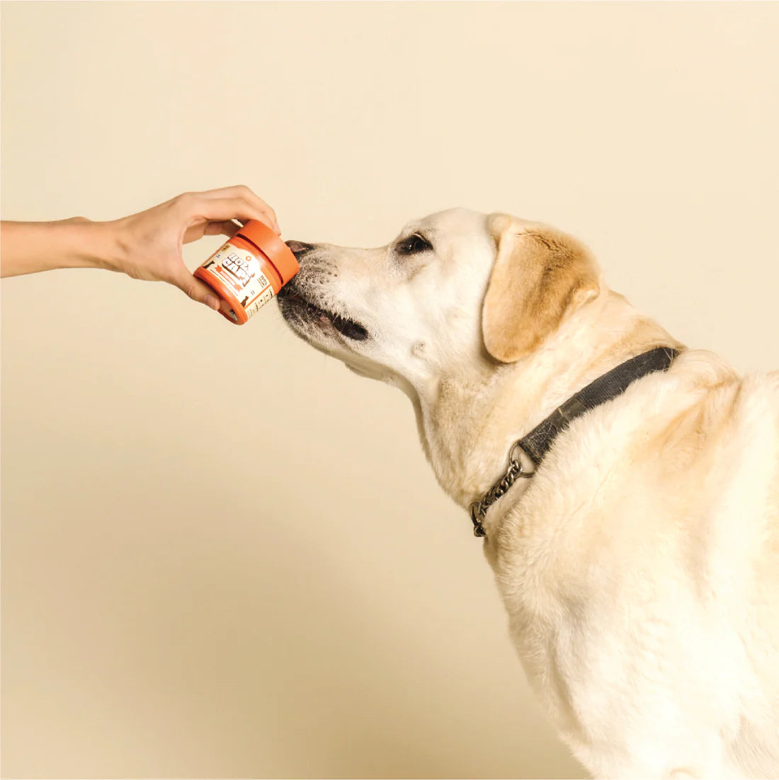 Digestion Support Mushroom Powered Pet Supplement – Woof Concept HK