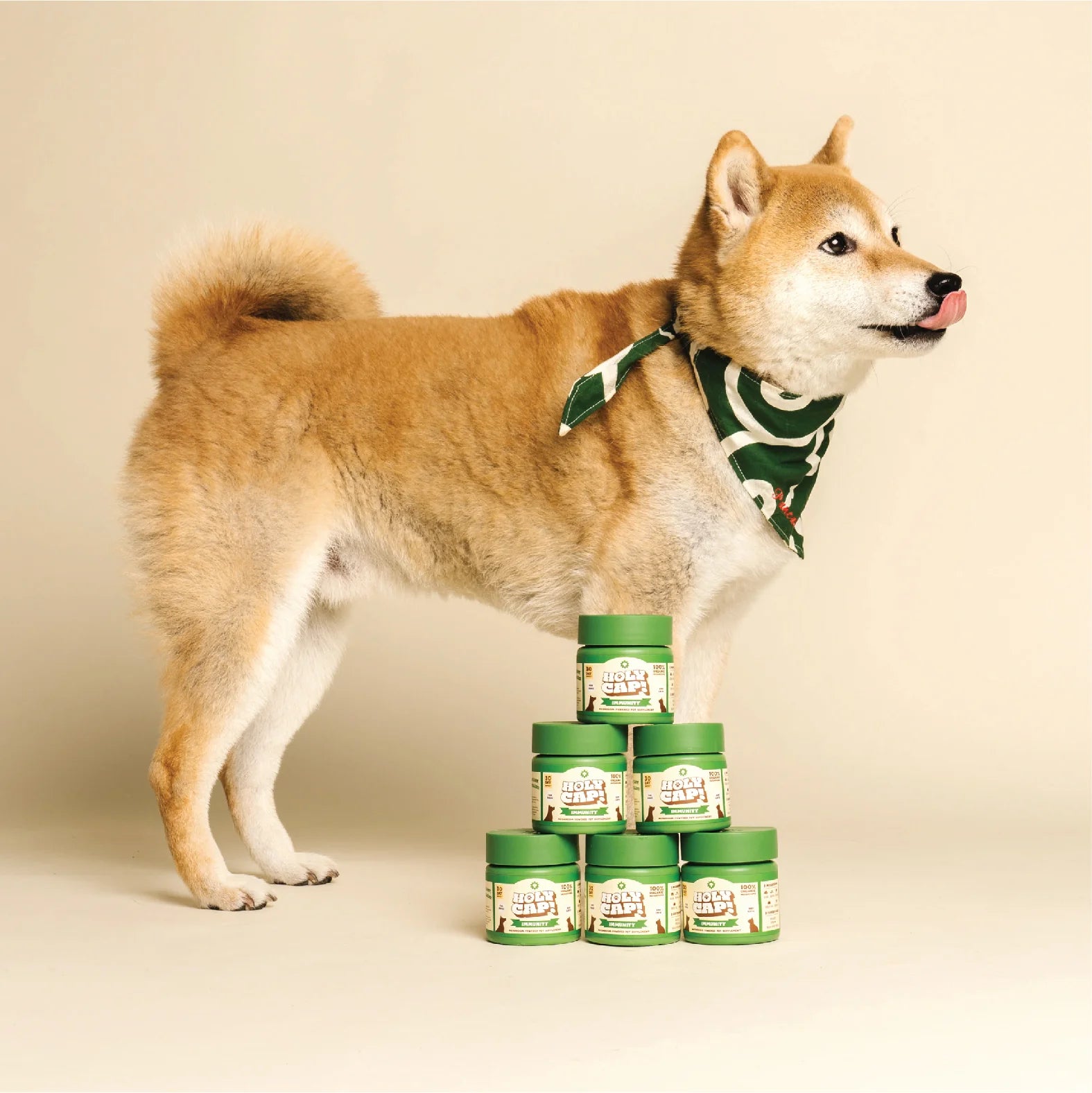 Immunity Support Mushroom Powered Pet Supplement – Woof Concept HK