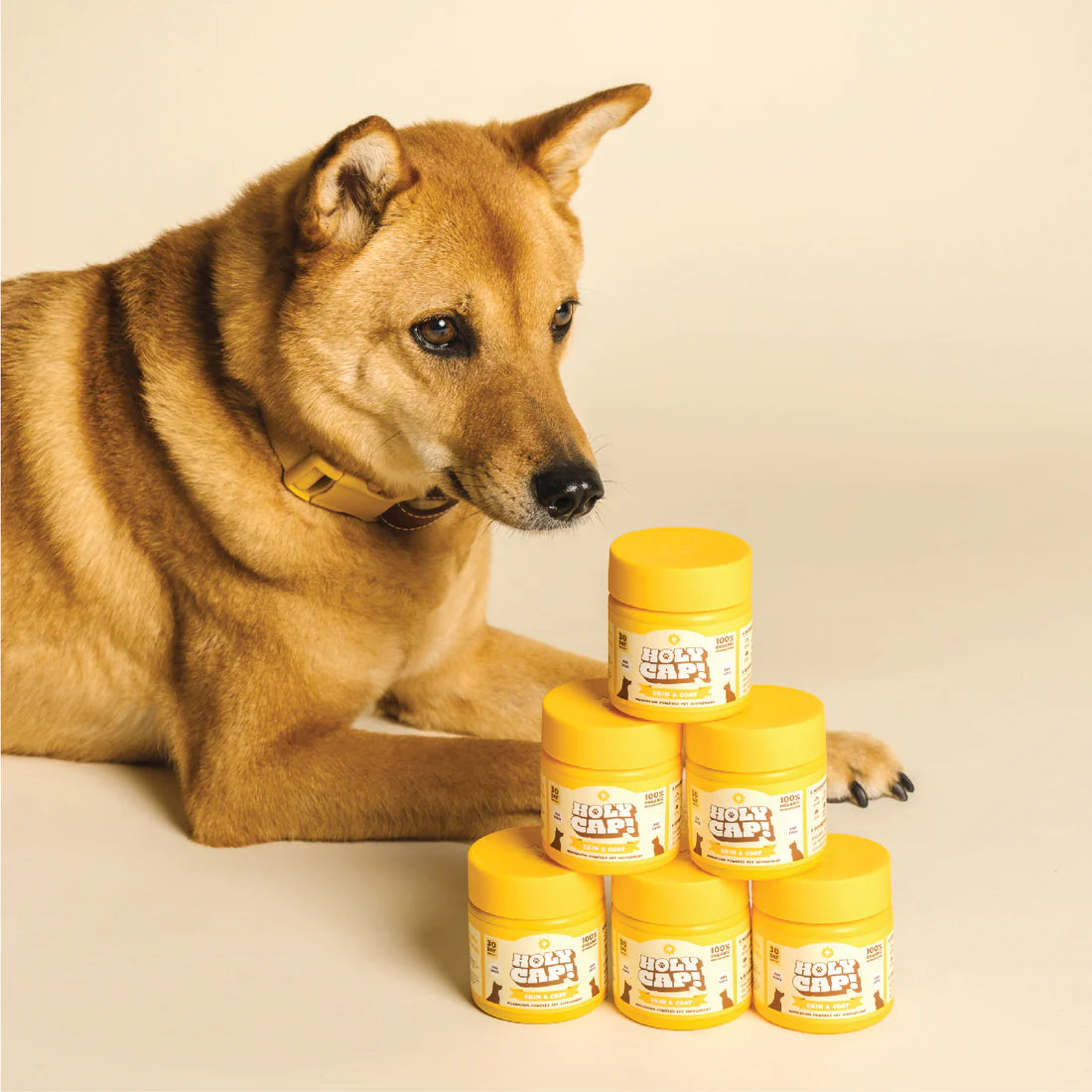 Skin & Coat Support Mushroom Powered Pet Supplement – Woof Concept HK