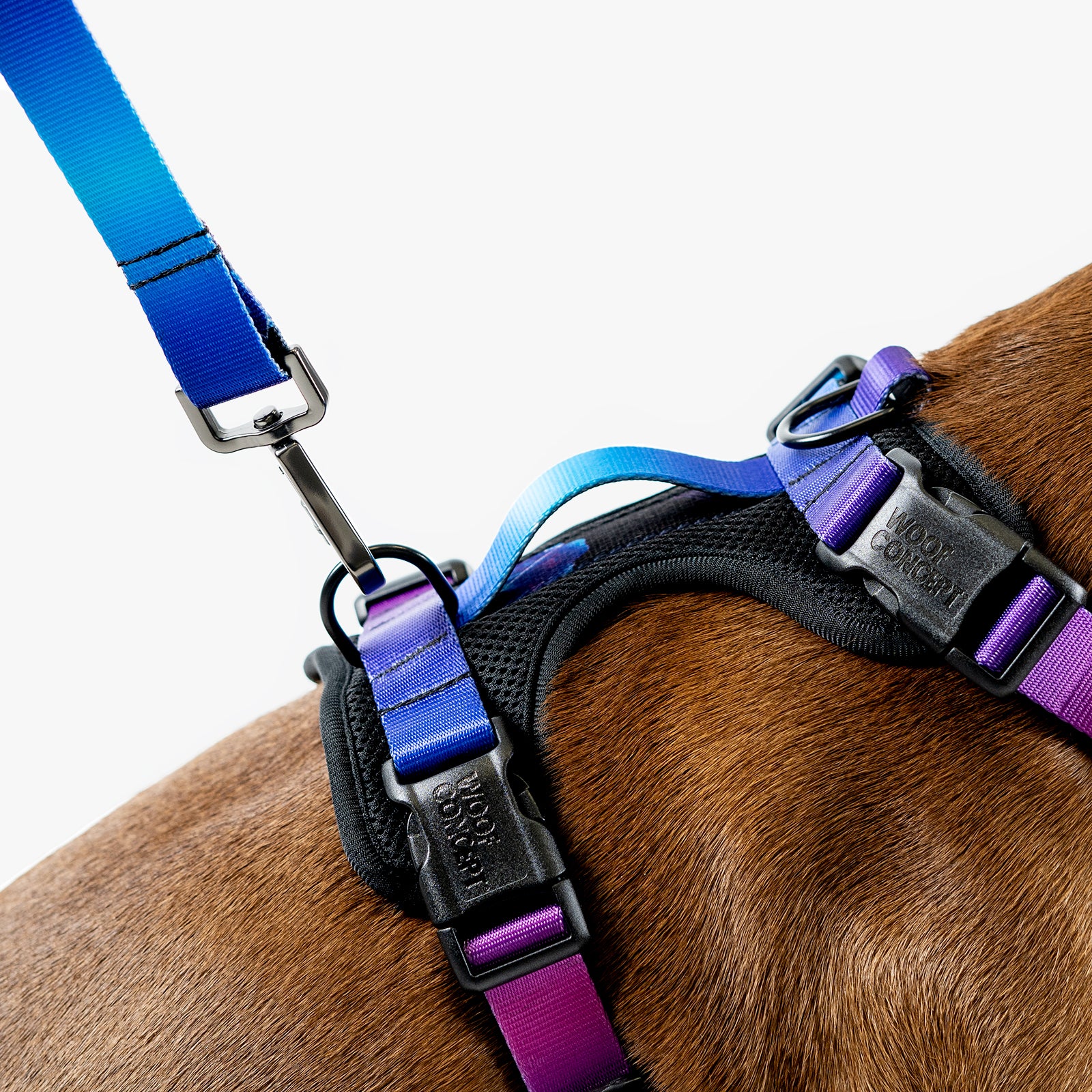 MYSTIC - MAX CONTROL DOG HARNESS – Woof Concept HK